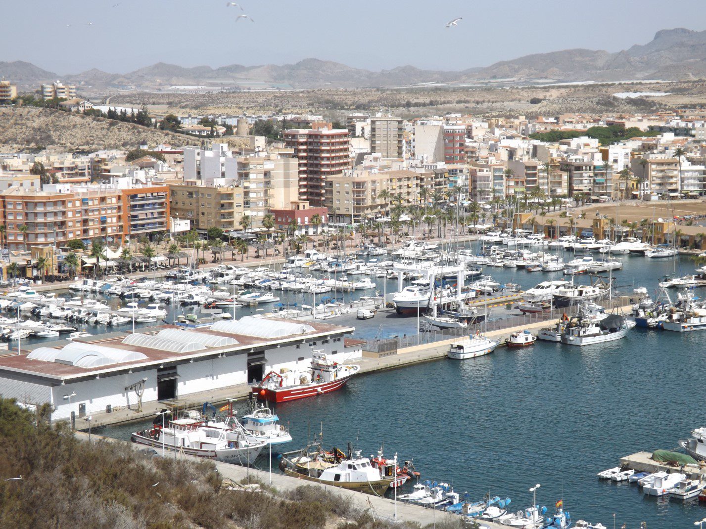 Essential Mazarron Tourist Guide: Things to Do & See